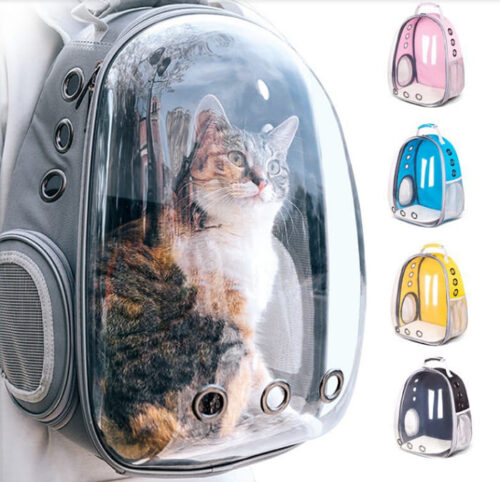 Toplist các loại balo mèo được yêu thích nhất hiện nay