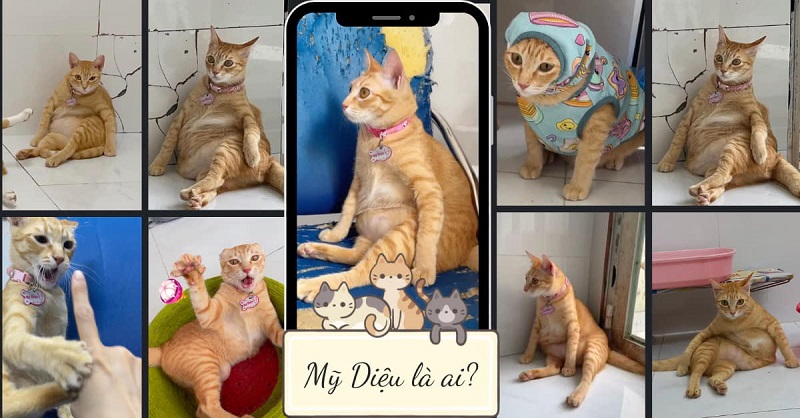 Mèo Mỹ Diệu Hot Tiktok là ai? Vì sao lại gây sốt cộng đồng mạng?