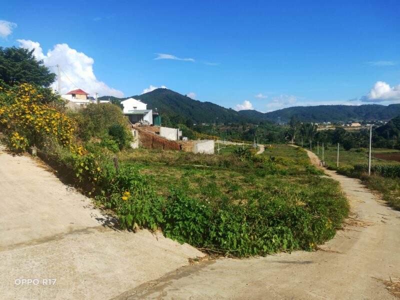 Mua Bán Đất Đức Trọng Tháng 08/2024 - Nhà Tốt