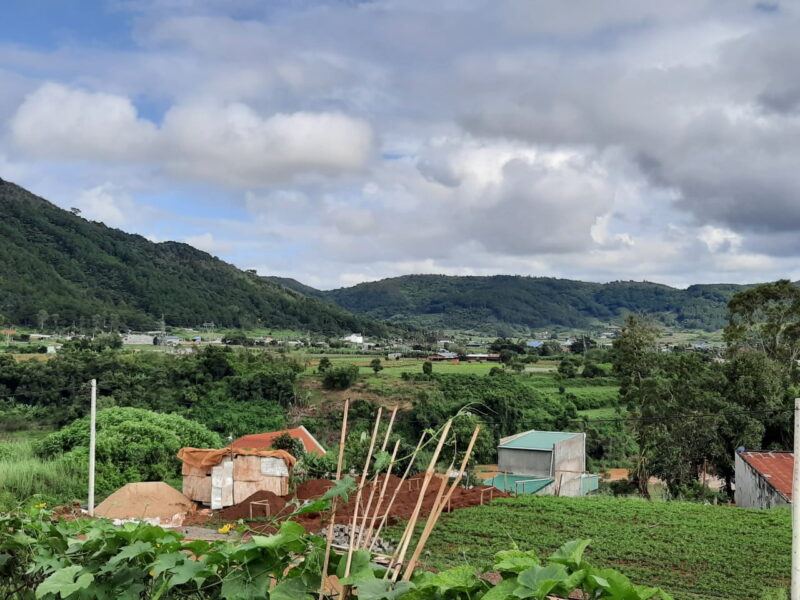 Mua Bán Đất Đức Trọng Tháng 01/2025 - Nhà Tốt