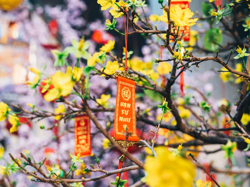 Xông đất là gì? Ý nghĩa của việc xông đất thu hút nhiều tài lộc và may mắn